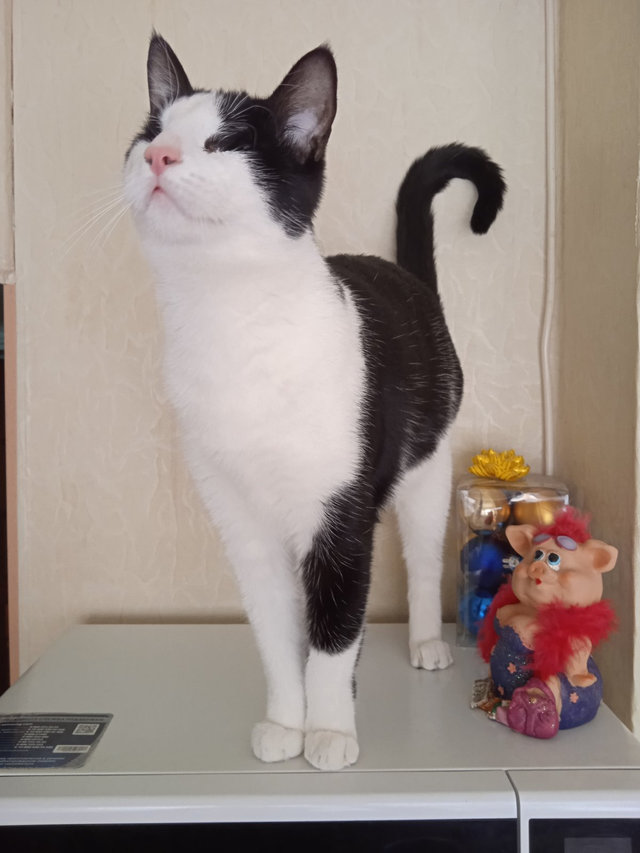 изображение_viber_2021-12-03_19-07-34-552.jpg - RePic