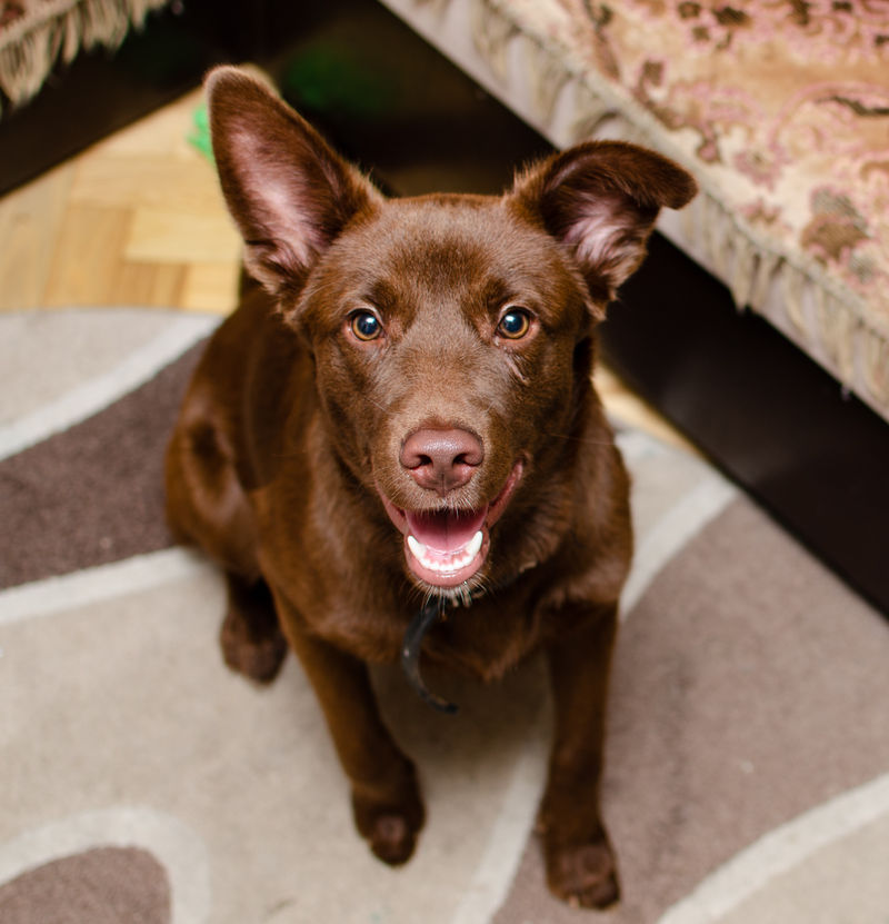 DSC_0769.jpg - RePic